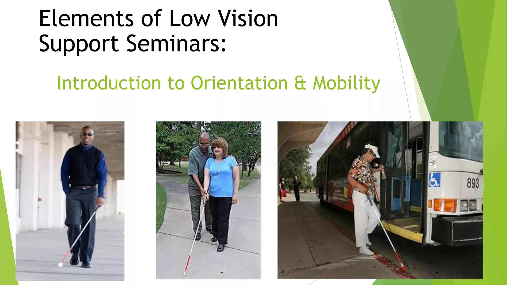 Low Vision Conference Presentation | PPTX
