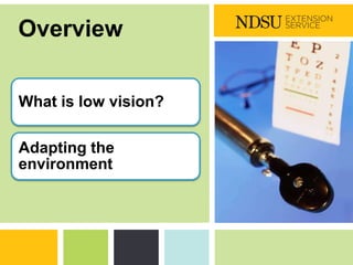 Low Vision: A Guide for Educators | PPTX