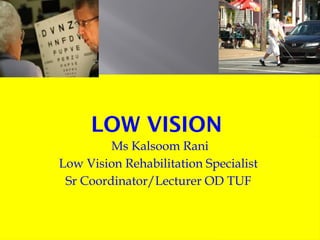 low vision intro and definitions, this PPT comprises, basic definitions ...