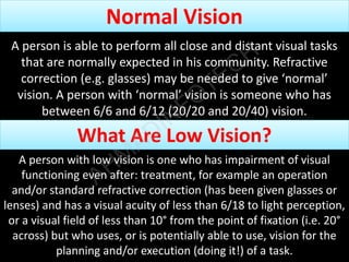 WHAT IS LOW VISION | LOW VISION INSTRUMENTS | LOW VISION SYMPTOMS ...