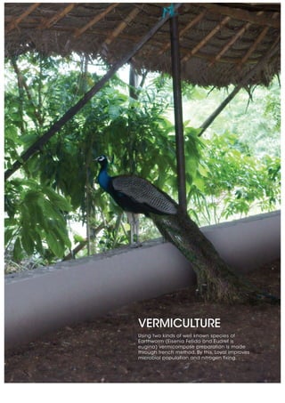 Loyal textiles | PDF