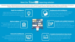 Intelibiz Reporting Solution | PDF