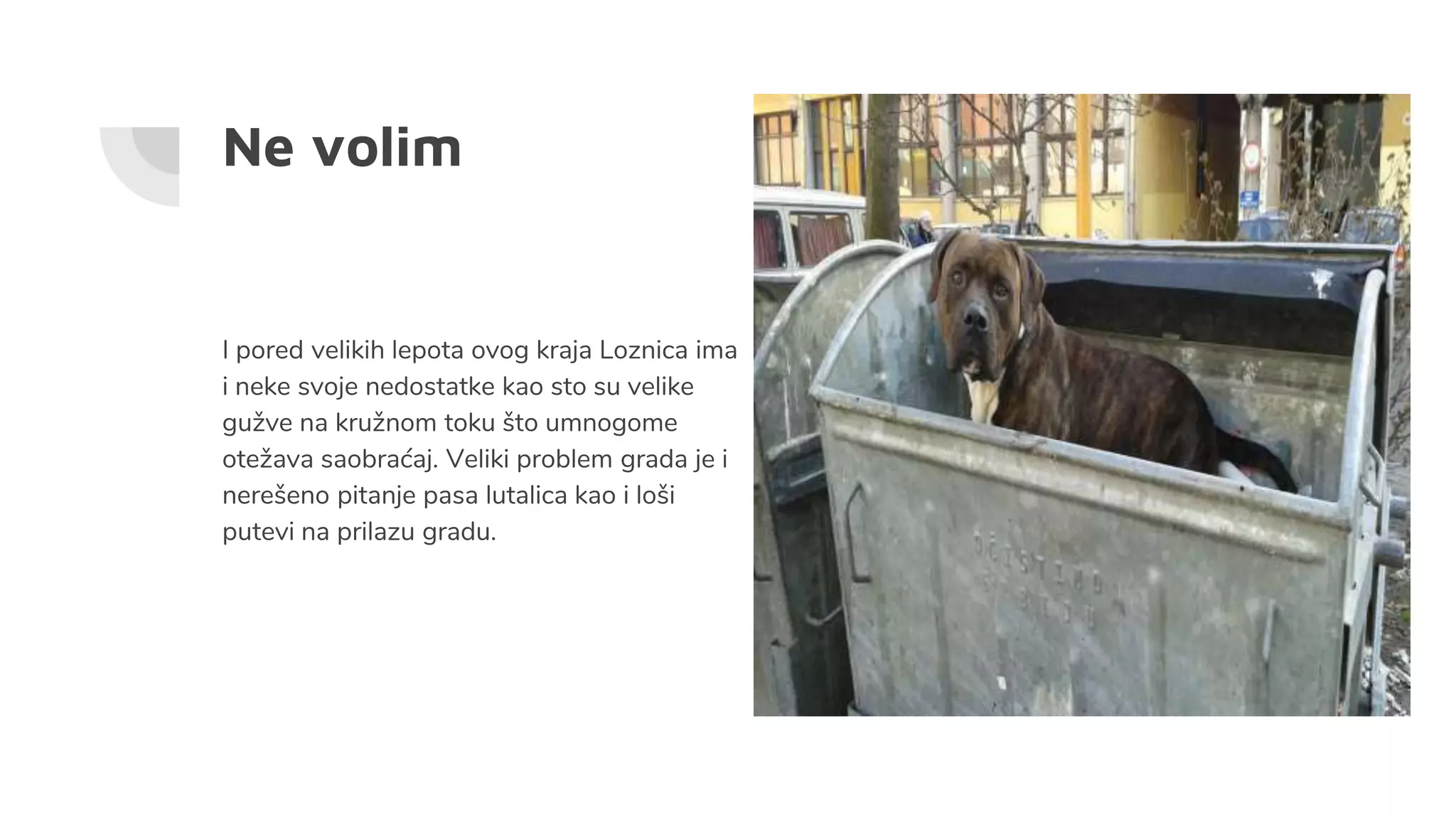 Loznica, grad koji volim | PPTX