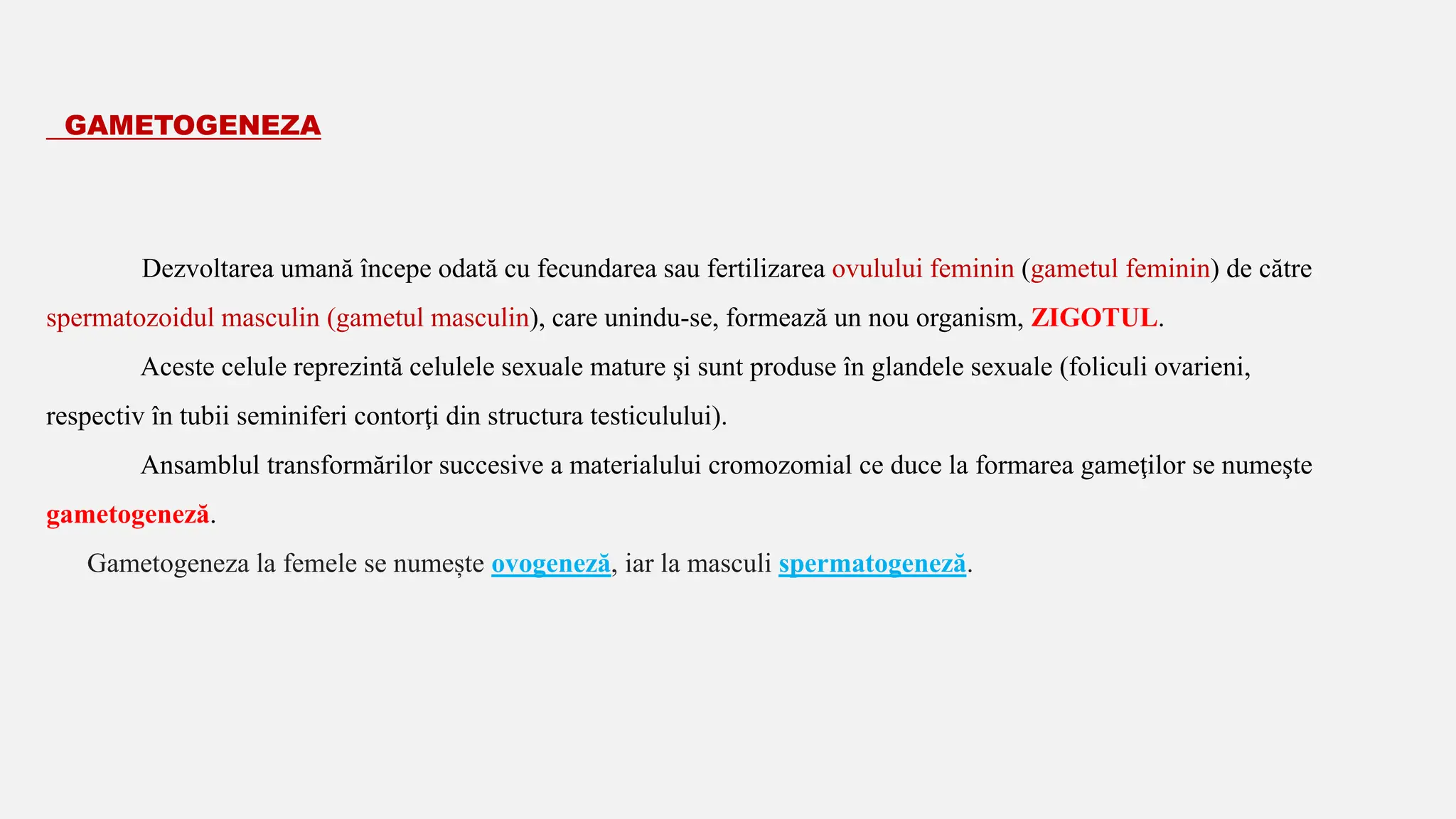 Lp - 2.pptx anatomie fiziopatologica umana | PPTX