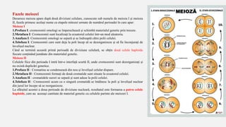 Lp - 2.pptx anatomie fiziopatologica umana | PPTX