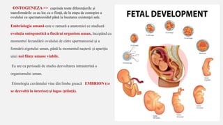 Lp - 2.pptx anatomie fiziopatologica umana | PPTX