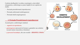 Lp - 2.pptx anatomie fiziopatologica umana | PPTX