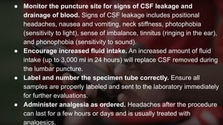 Lumber Puncture | PPT