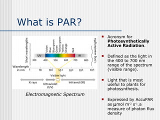 LP 80 Presentation | PPT