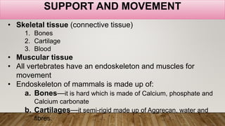 LP 1-cartilage ppt.pptx
