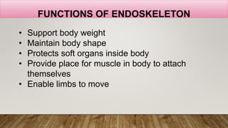 LP 1-cartilage ppt.pptx