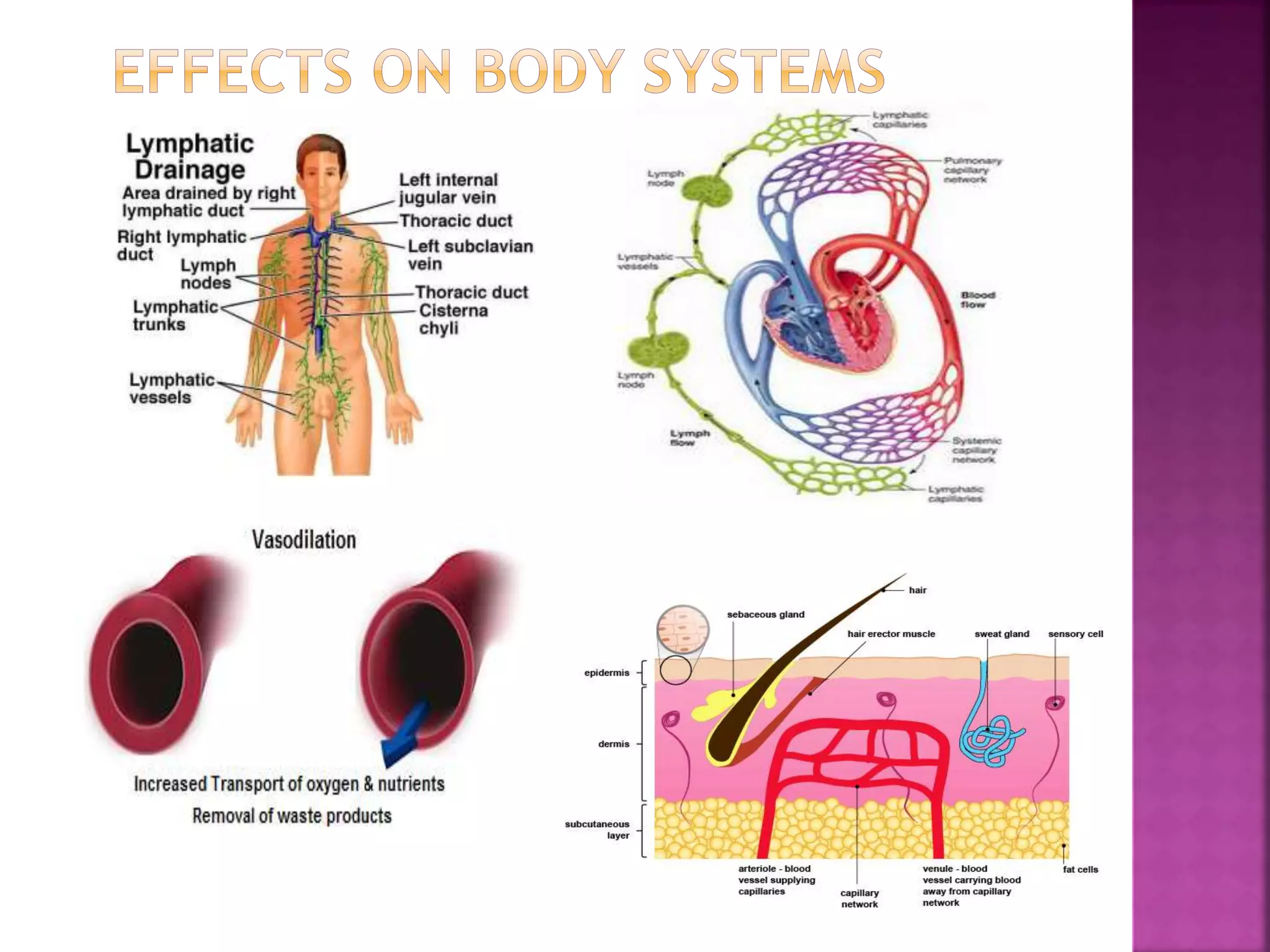 Vacuum Suction Body | PPTX