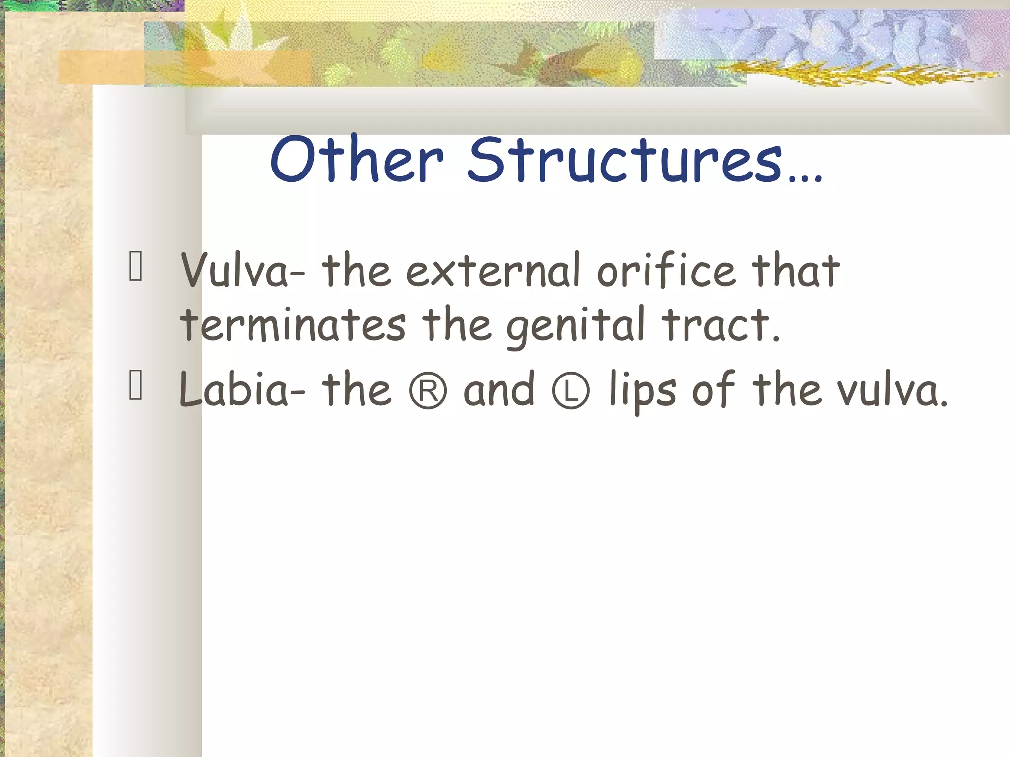 Lp 16a reproductive system | PPT