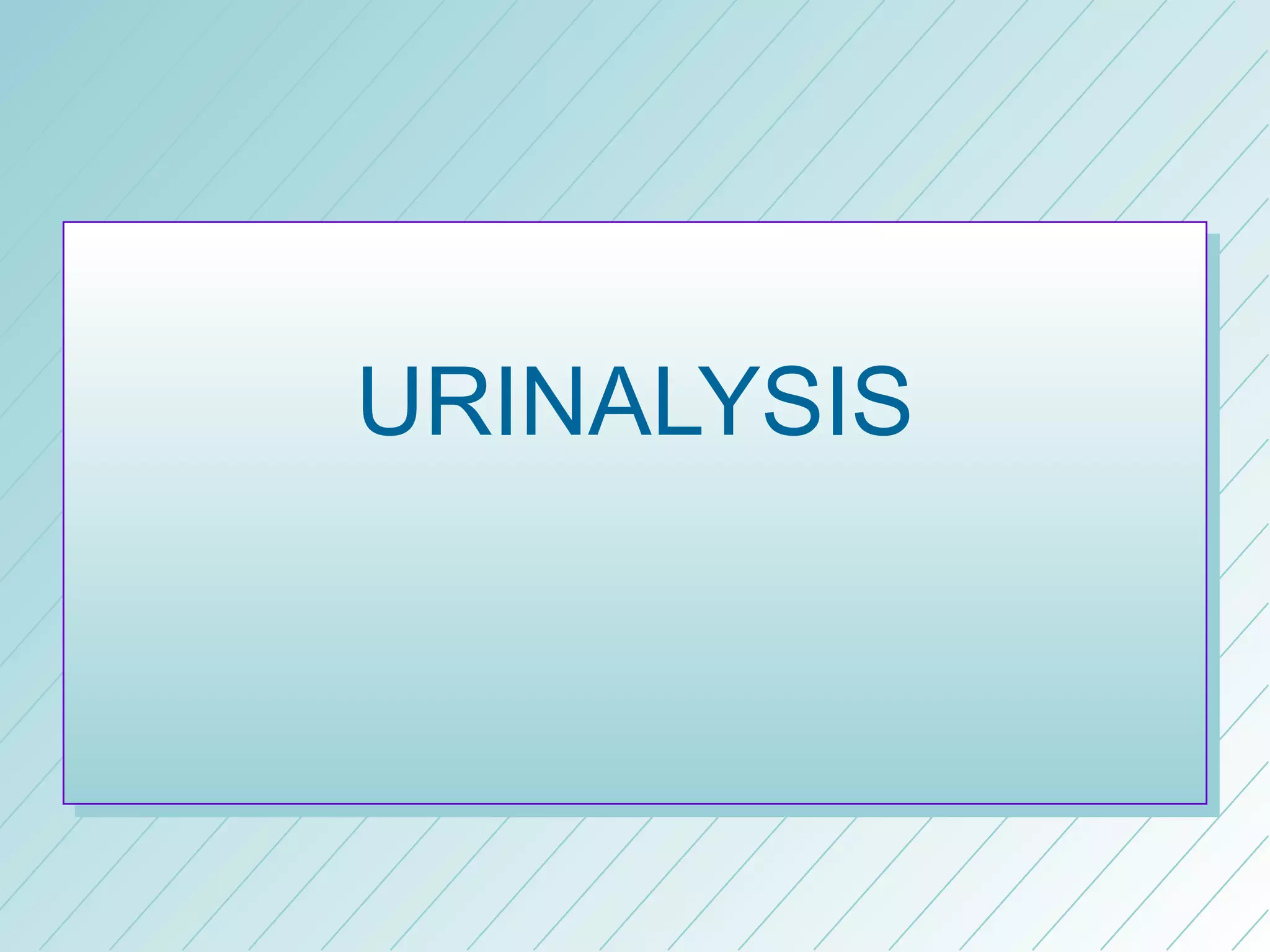 Lp 16 urinary system & urinalysis 2008 | PPT