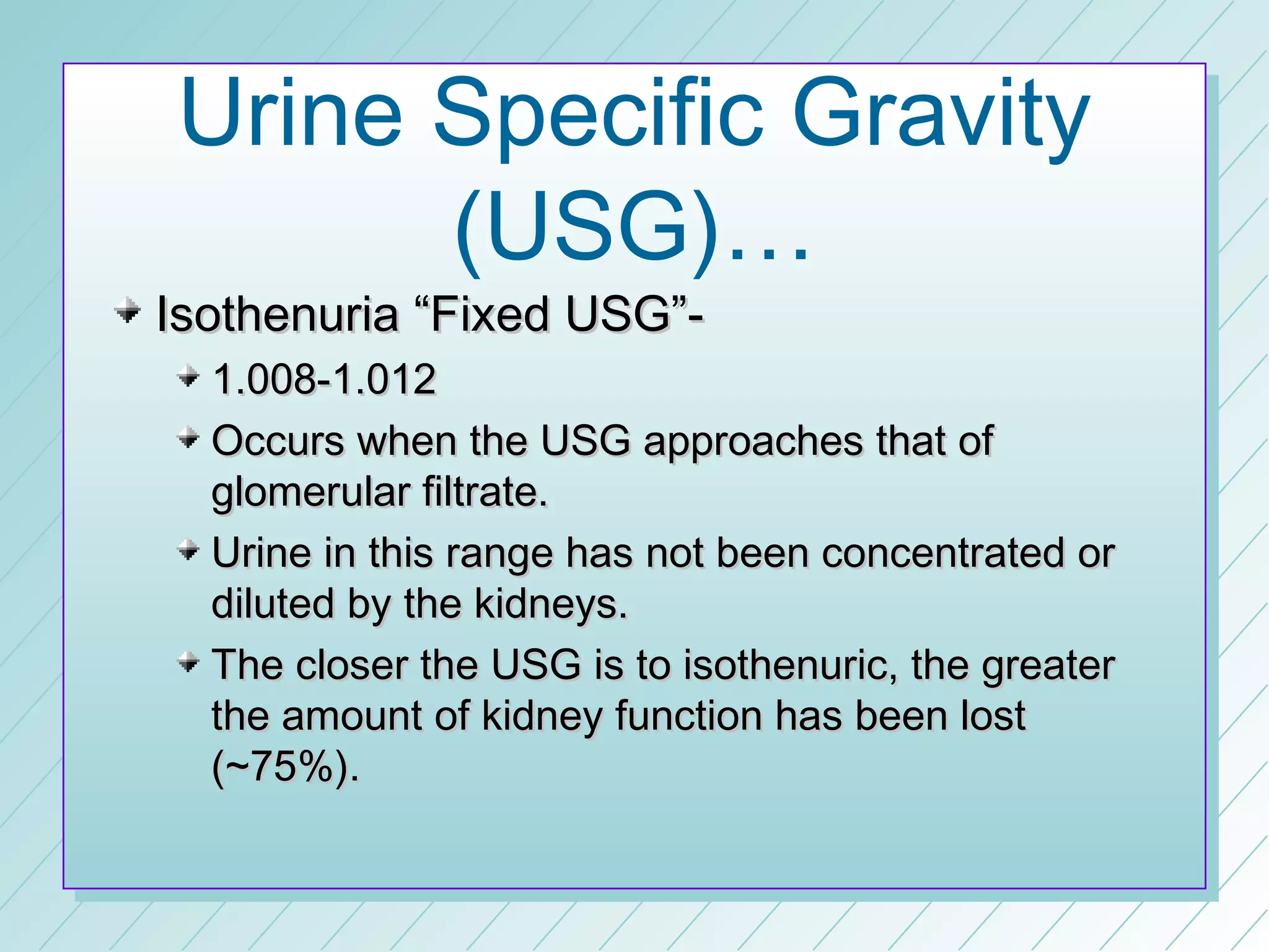 Lp 16 urinary system & urinalysis 2008 | PPT