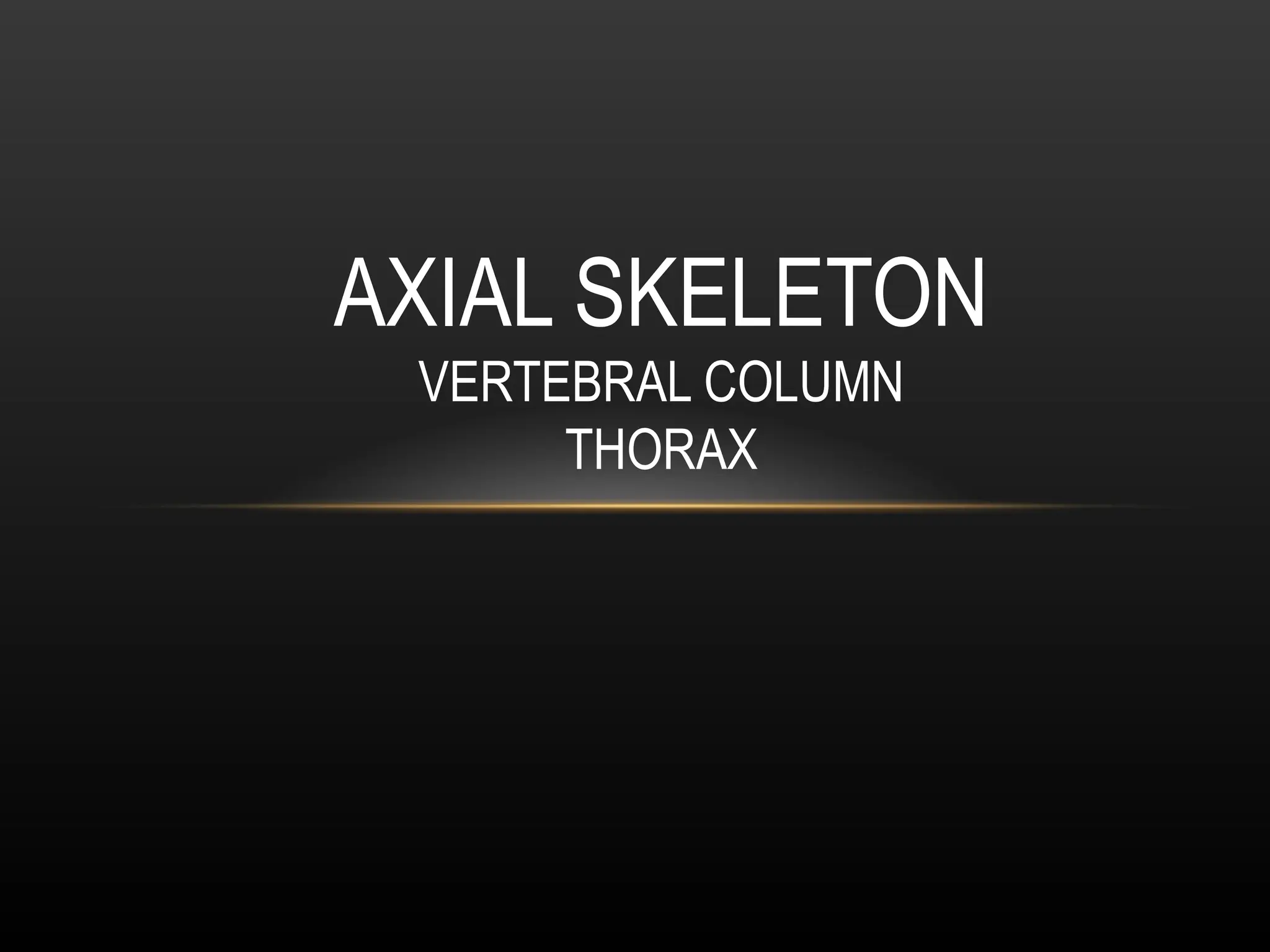 Bonesvertebral_column_and_thoraxhuman .ppt