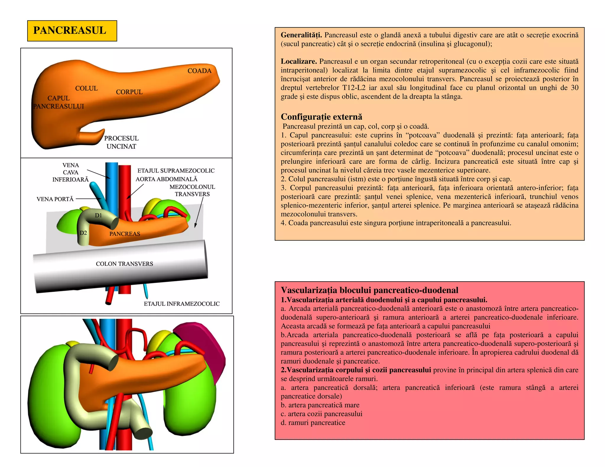 Lp 21 duodenul pancreasul vena porta cai biliare | PDF
