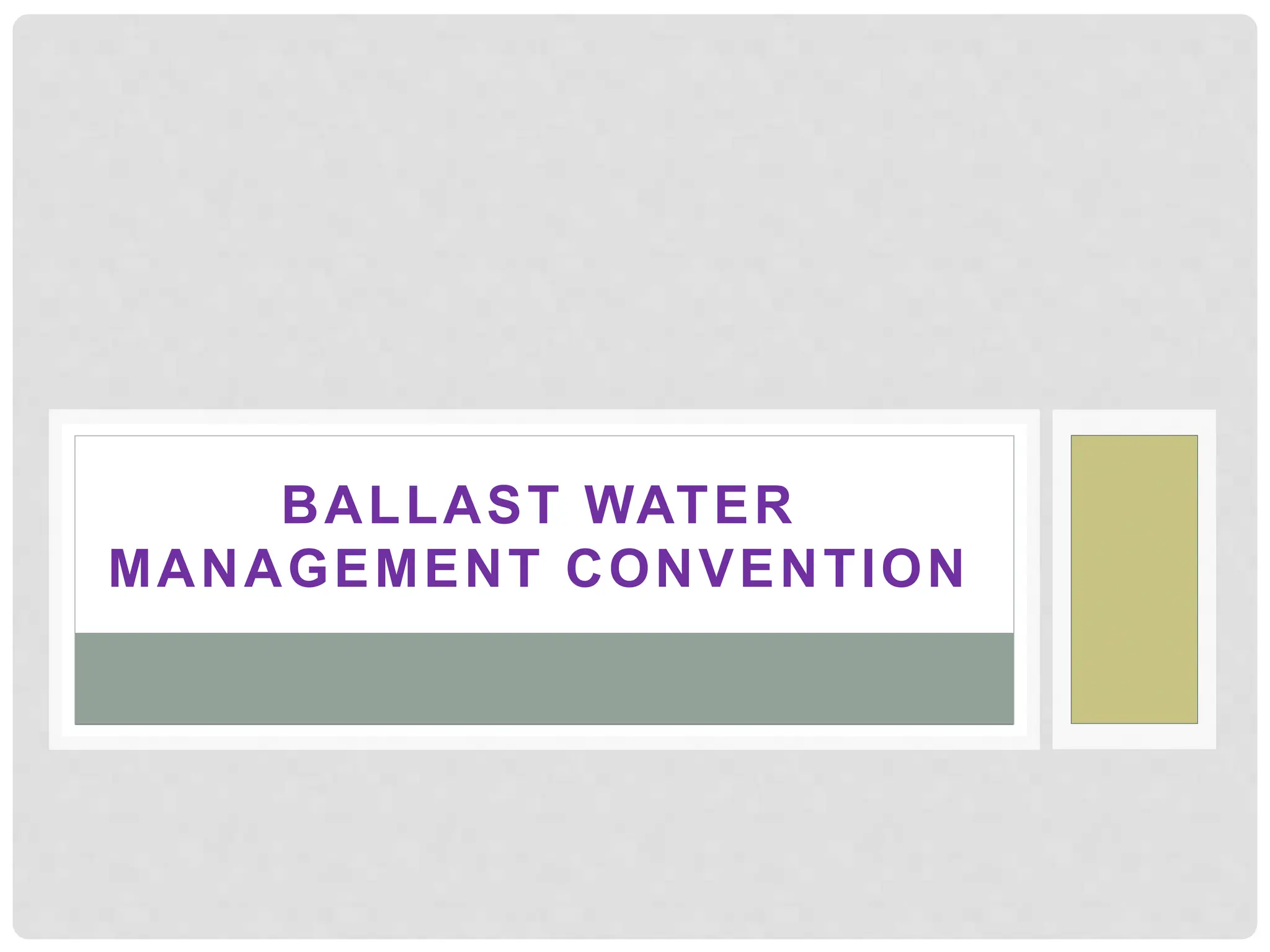 Ballast Water Management Convention.pptx