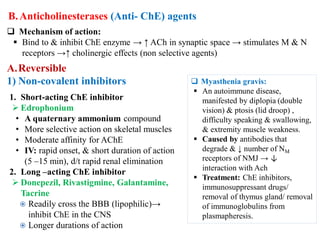 L P 2 Cholinoergic drugs.pdf