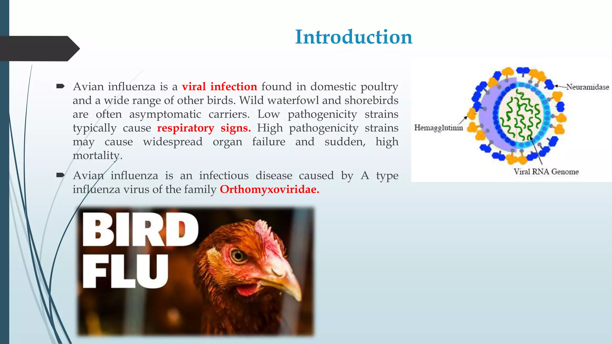 Low Pathogenic Avian Influenza | PPT