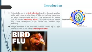 Low Pathogenic Avian Influenza | PPTX