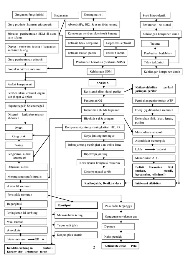 Lp anemia | DOCX
