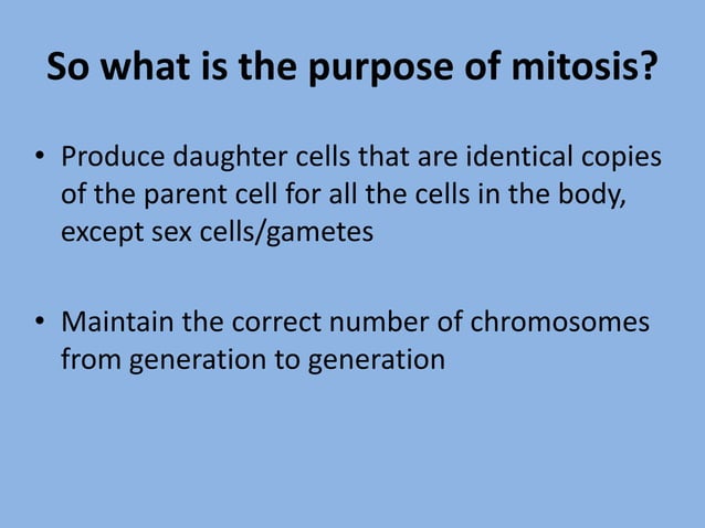 Lp cell reproduction | PPT