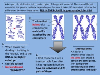 Lp cell reproduction | PPTX