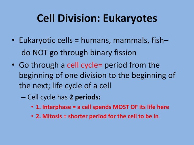 Lp cell reproduction | PPT