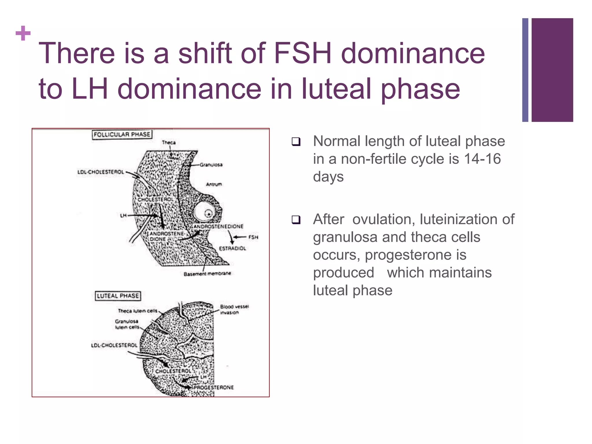 Luteal Phase Defect Contributors Dr.Shweta Mittal Gupta & DGF Team ...