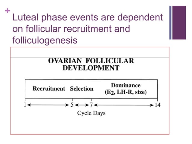 Luteal Phase Defect Contributors Dr.Shweta Mittal Gupta & DGF Team ...