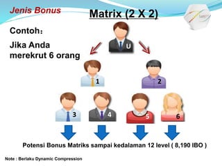 LPGN Compensation Plan for indonesia | PPT