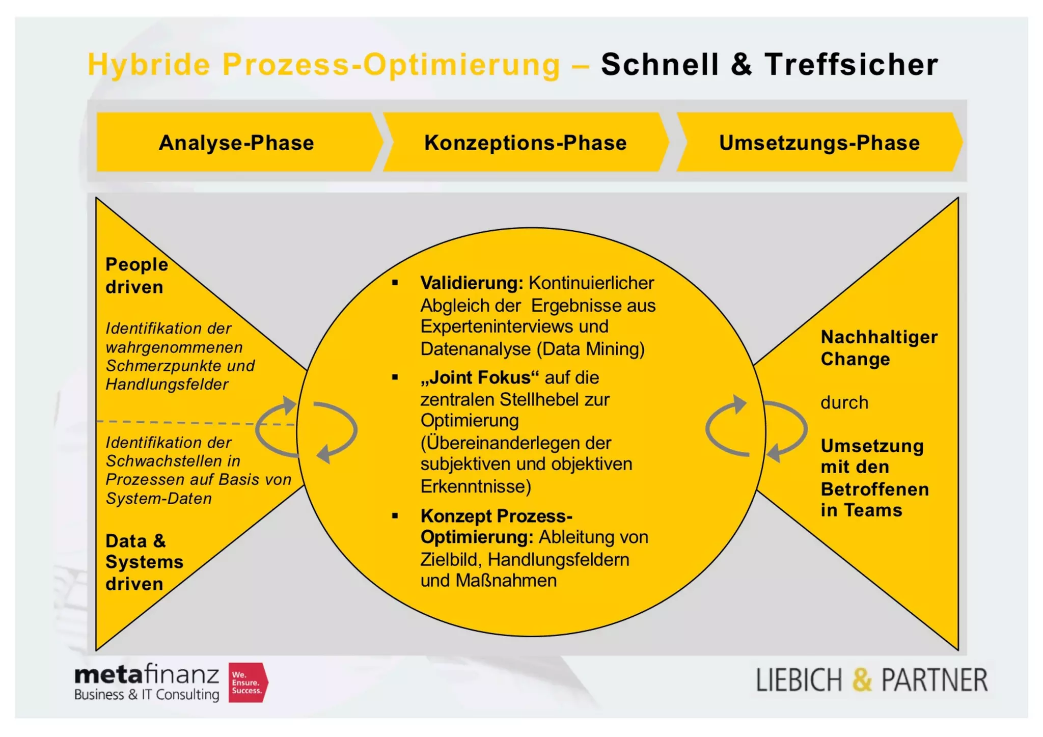 Hybride Prozess Optimierung / Hybrid Process Optimization (Steffen ...
