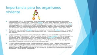 Función de los Lípidos | PPTX