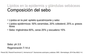 Lípidos en la epidermis y glándulas sebáceas.pptx