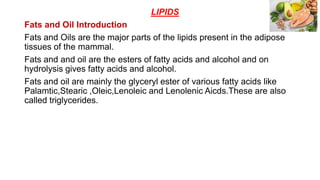 Lpids(Fats)jjjjjjjjjjjjjjLec Nutrition FSt.pptx