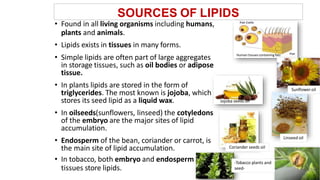Lpids(Fats)jjjjjjjjjjjjjjLec Nutrition FSt.pptx