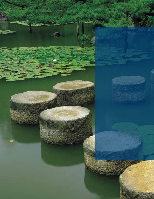 LPL Capabilities Brochure | PDF