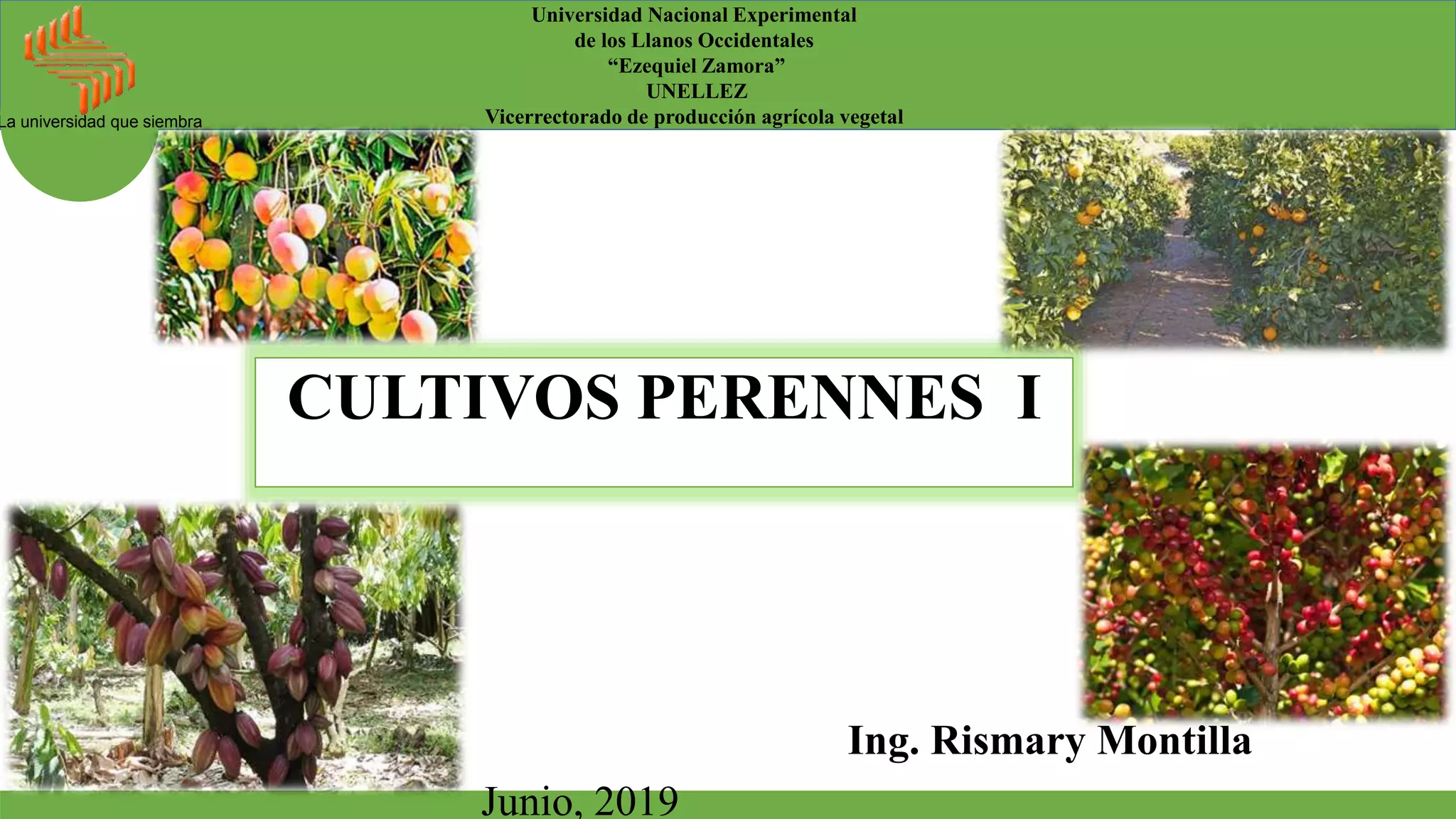 Diapositivas Cultivos perennes I | PPTX