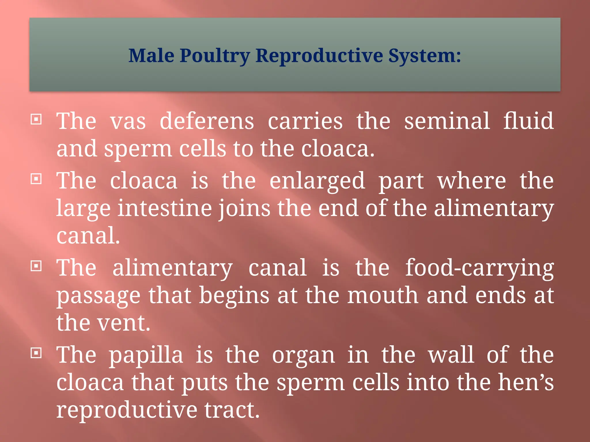lpm non ruminant production and management.pptx