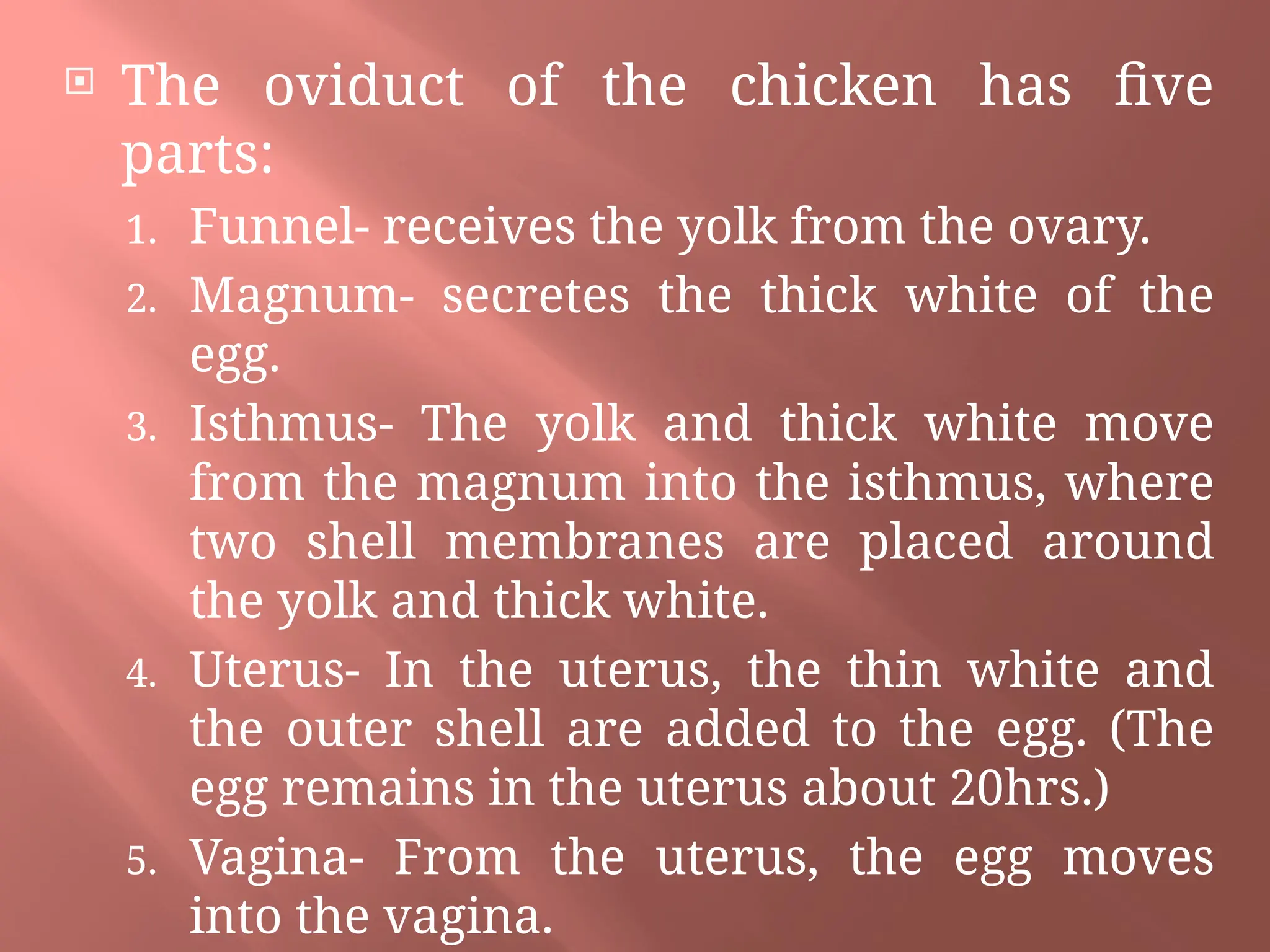 lpm non ruminant production and management.pptx