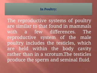 lpm non ruminant production and management.pptx