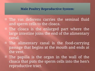 lpm non ruminant production and management.pptx