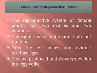 lpm non ruminant production and management.pptx