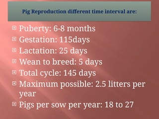 lpm non ruminant production and management.pptx