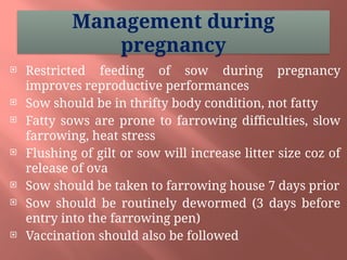 lpm non ruminant production and management.pptx