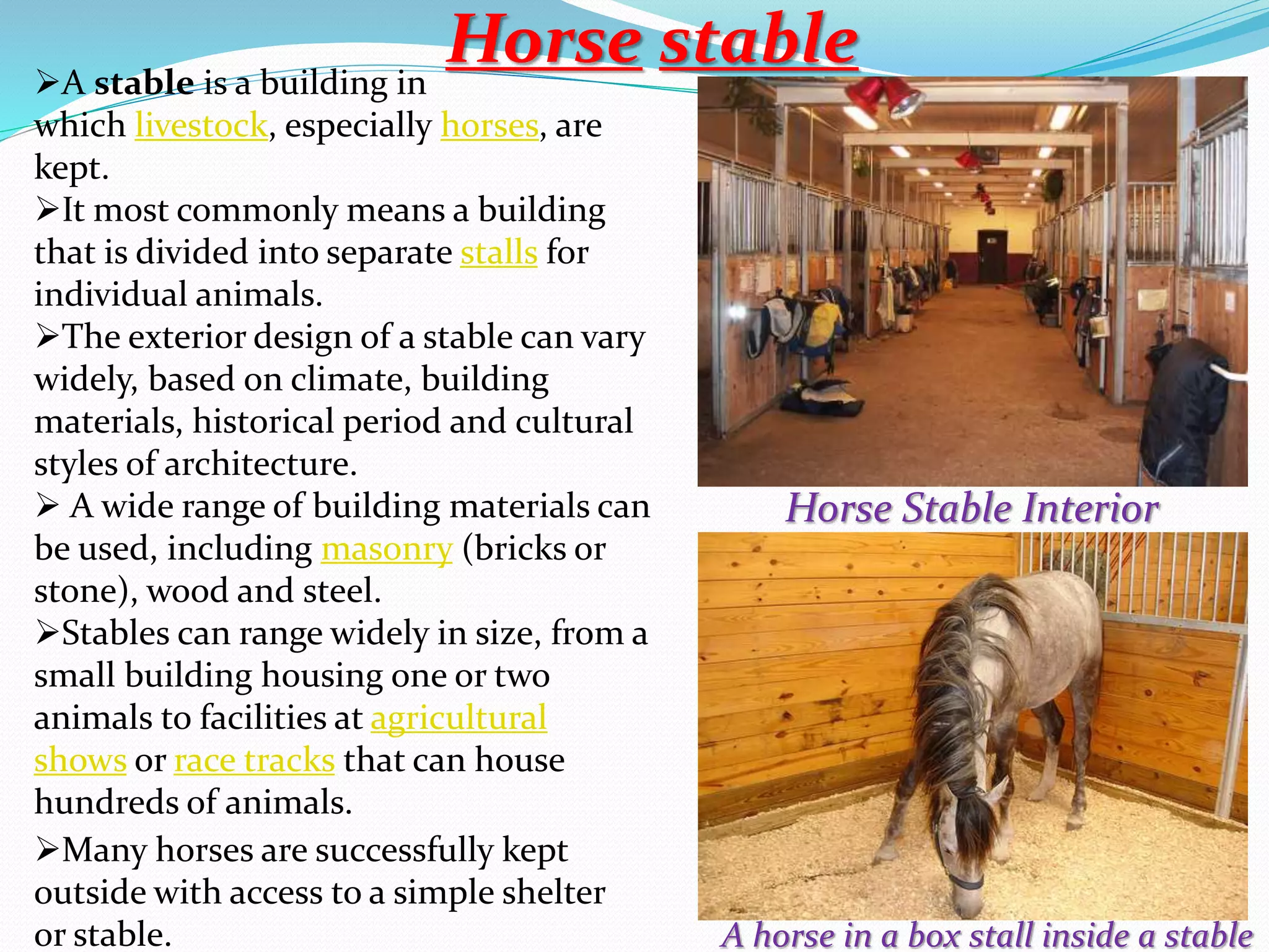 STABLE AND IT’S MANAGEMENT | PPTX