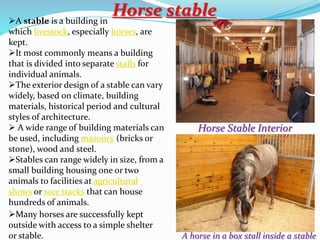 STABLE AND IT’S MANAGEMENT | PPTX