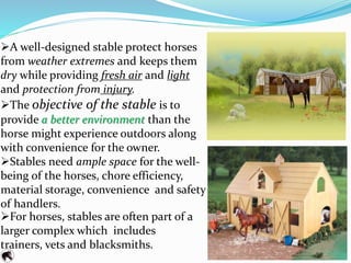 STABLE AND IT’S MANAGEMENT | PPTX