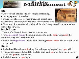 STABLE AND IT’S MANAGEMENT | PPTX